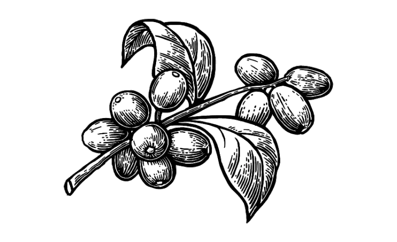 Mandy Bean - 2361C Central Park Ave | Toast