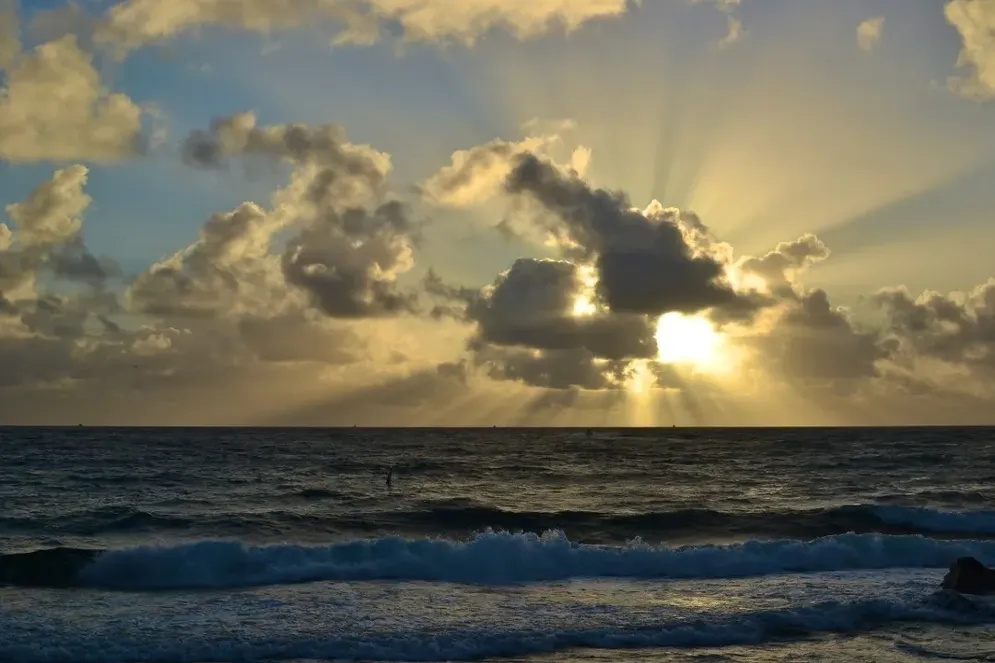 Tiki 52 Bar & Grill - Buffalo Chicken Wrap