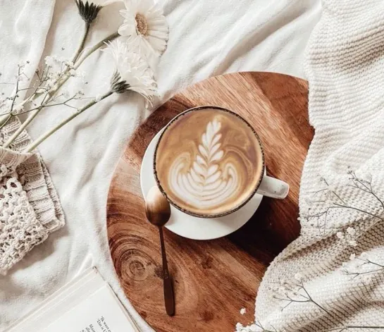 Meg-A-Latte Coffee House - Harvest | Toast