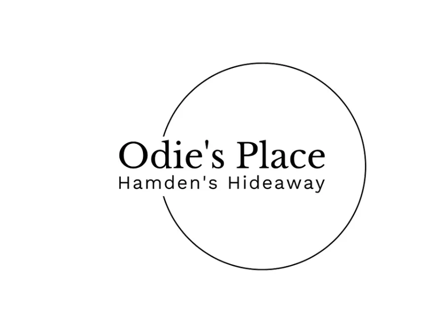Odie's Place - 3352 Whitney Ave | Toast
